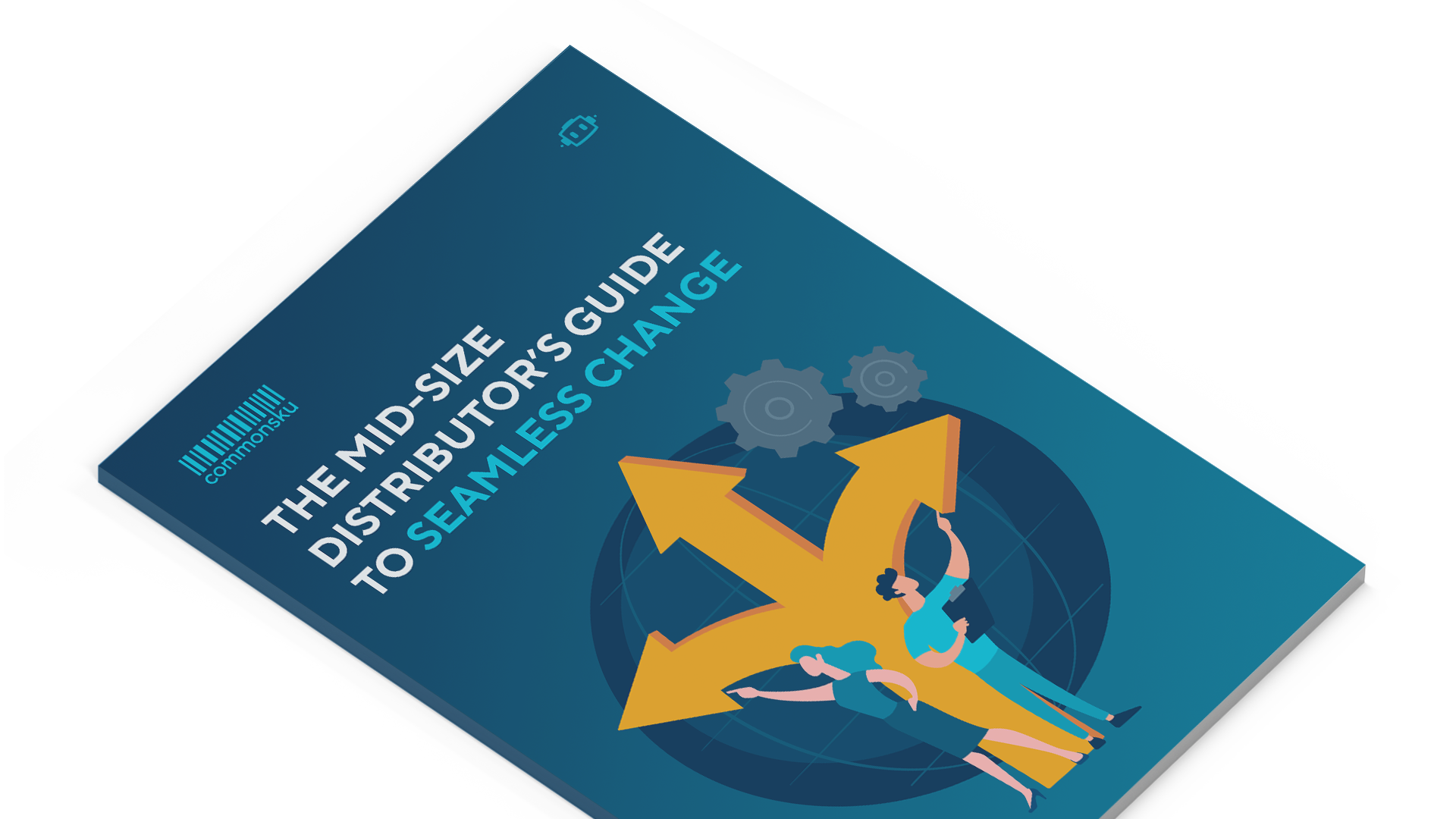 The Mid-Size Distributor’s Guide to Seamless Change